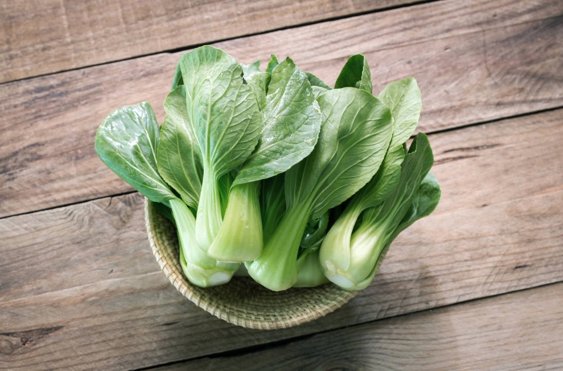 PAK-CHOI MINI YOKO - Feltrin Sementes
